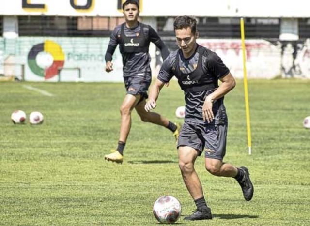 La vuelta de los atigrados será de manera gradual